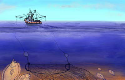 Bait, Trawl, Switch | Good Times