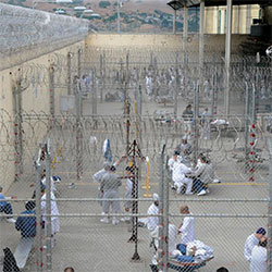 Lethal Interjection | Good Times