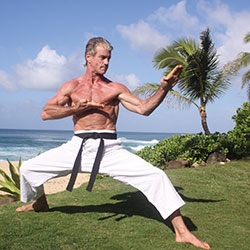 Heavy Medal | Good Times