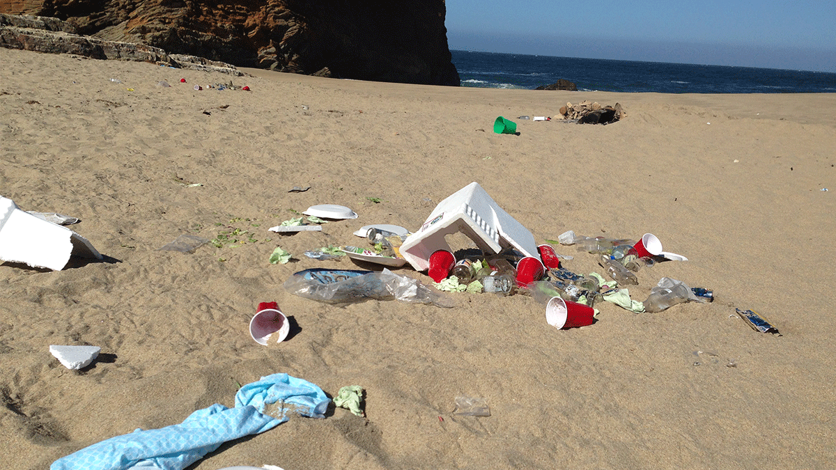 Save Our Shores Hosts Sanctuary Steward Training | Good Times