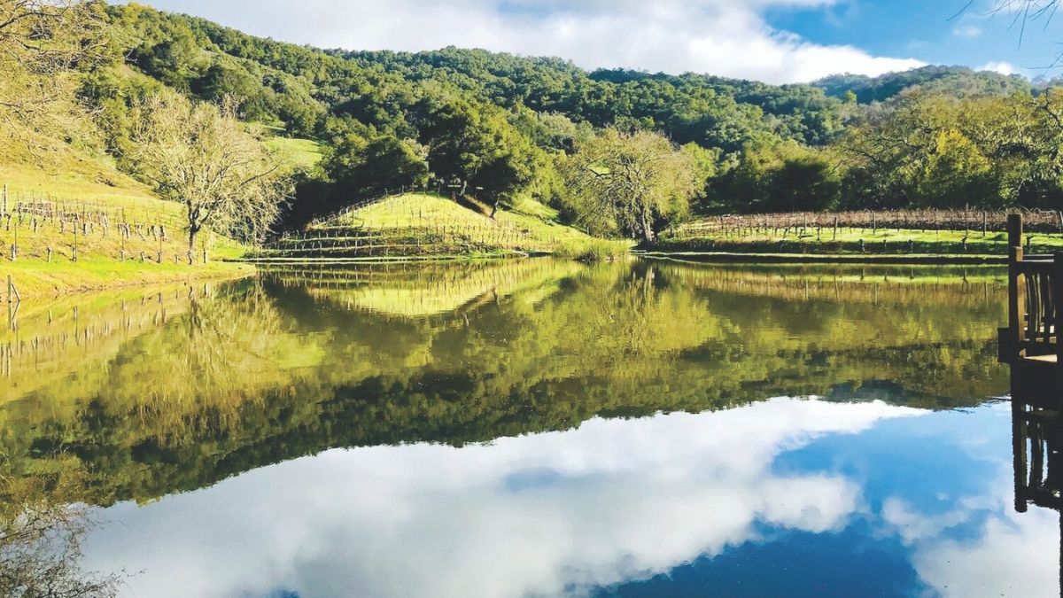 Gilroy's Martin Ranch Winery is Only Getting Better | Good Times