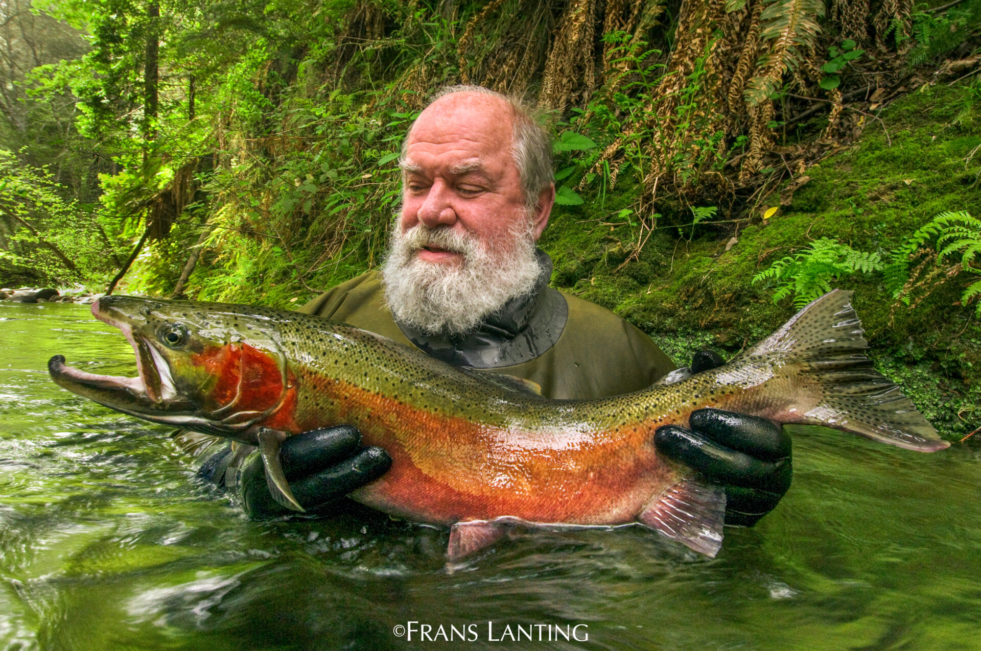 Frans Lanting’s ‘Bay of Life’ Project Showcases Local Ecosystem | Good ...