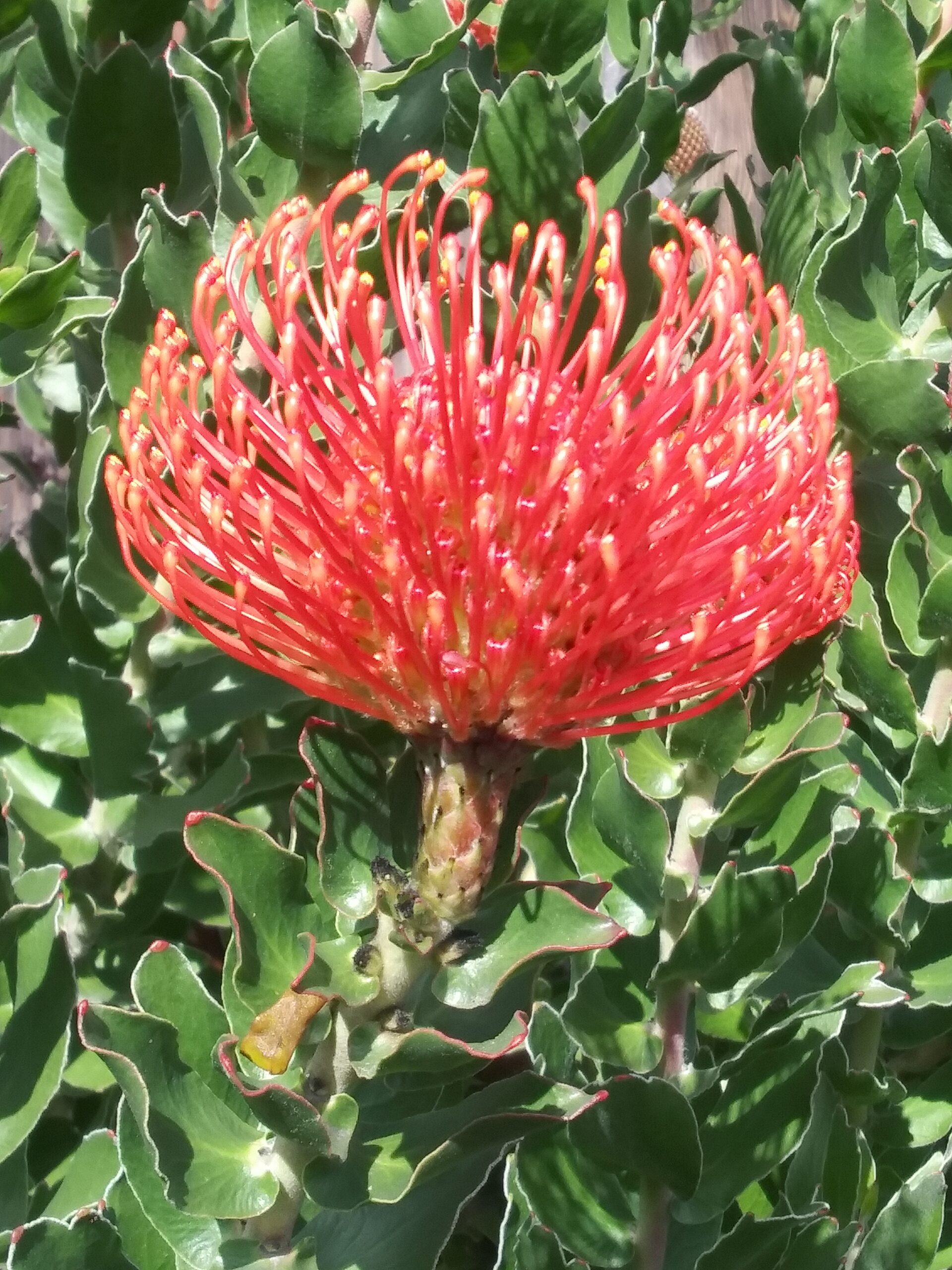 Opinion: Seat of Your Pants Writing | Good Times