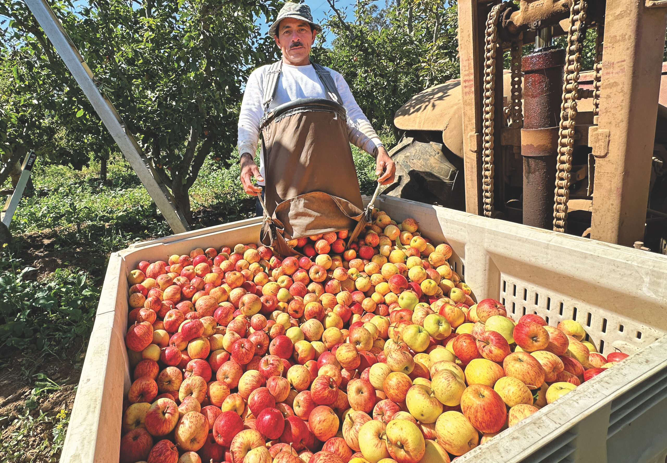 Farms to open doors to the public | Good Times