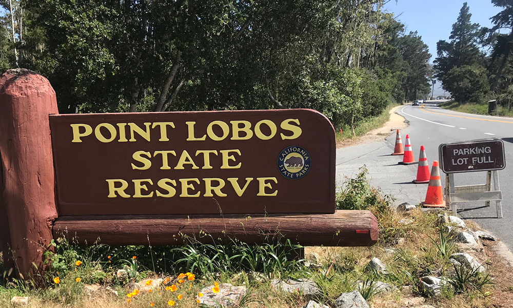 Take a Hike: Point Lobos State Natural Reserve