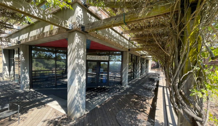 The Best Places to Eat on the UCSC Campus