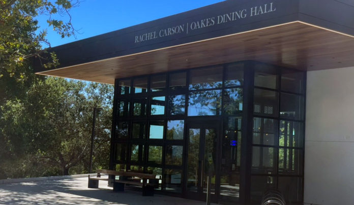 The Best Places to Eat on the UCSC Campus